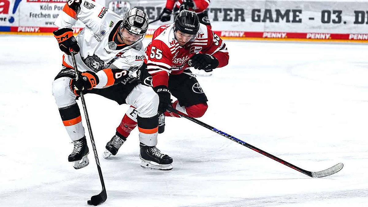 Löwen erneut zu Gast bei den Kölner Haien - Löwen Frankfurt