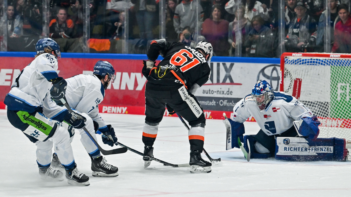Den Tigers die Krallen zeigen! Straubing zu Gast in Frankfurt - Löwen ...